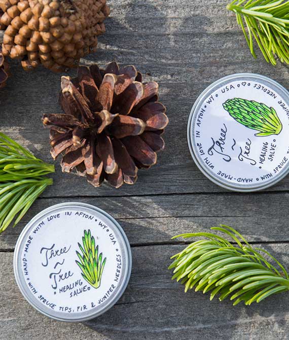 Conifer Healing Salve | Moji Herbals