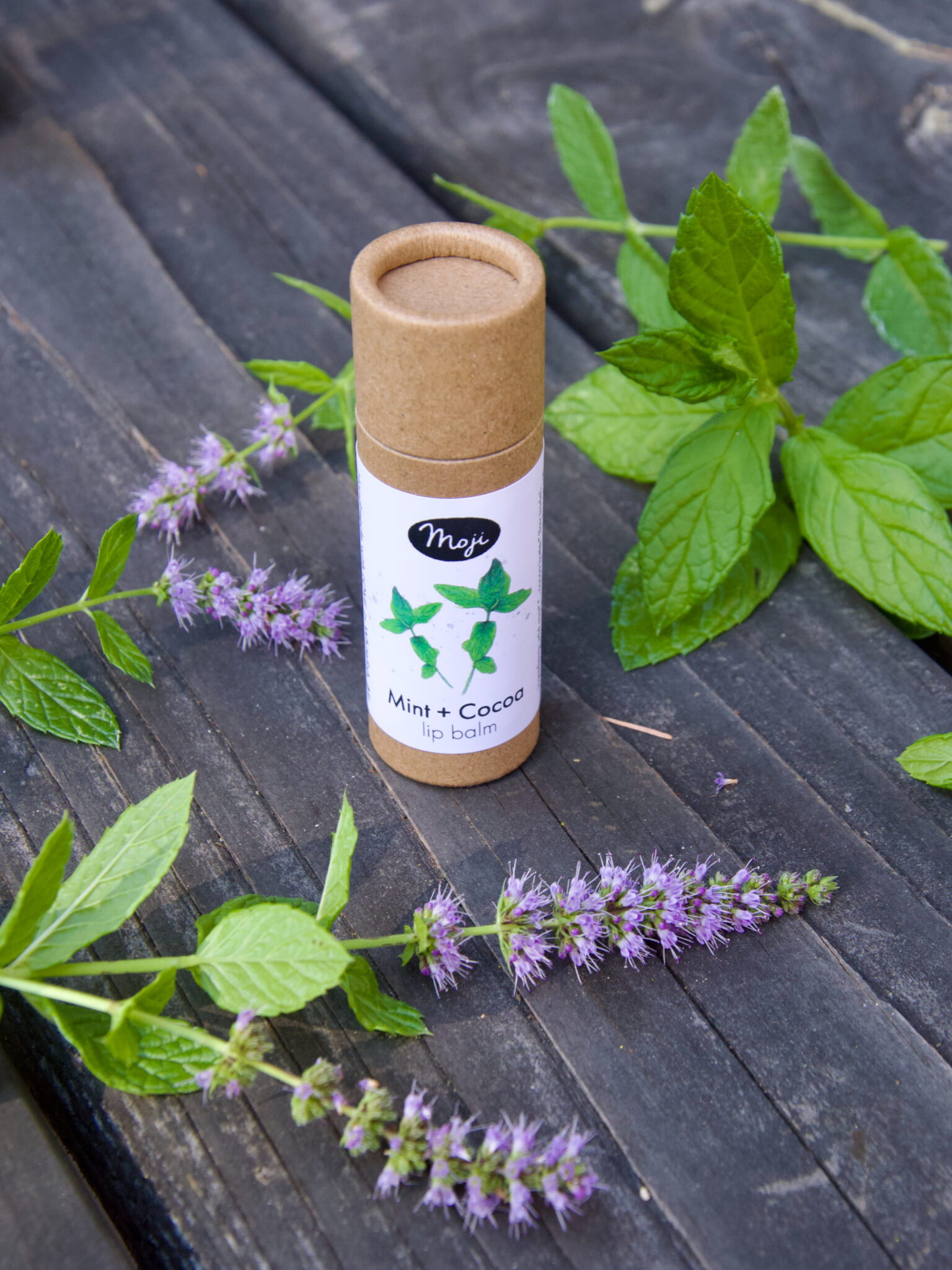 Mint & Chocolate Lip Balm – Moji Herbals