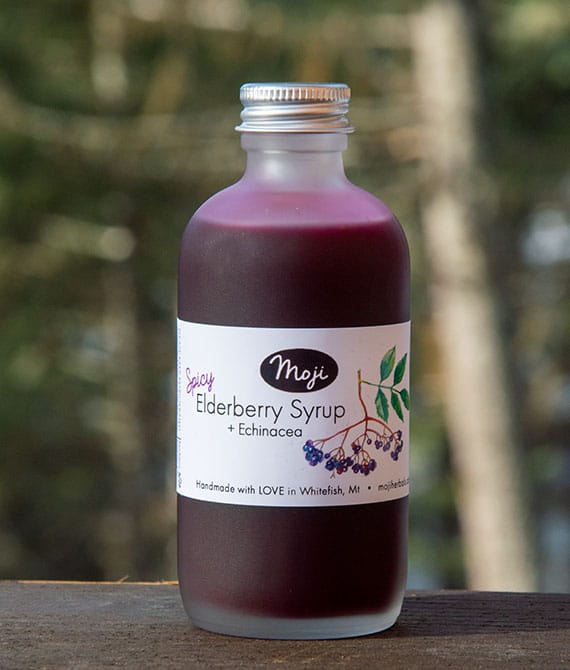 Spicy Elderberry Syrup + Echinacea – Moji Herbals